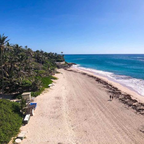 Shark Hole Barbados: Beach Visiting Guide - Next Stop Barbados
